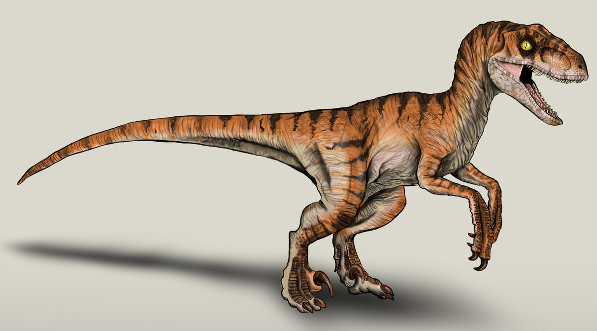 Raptor (Tiger Tribe) – Jurassic Report